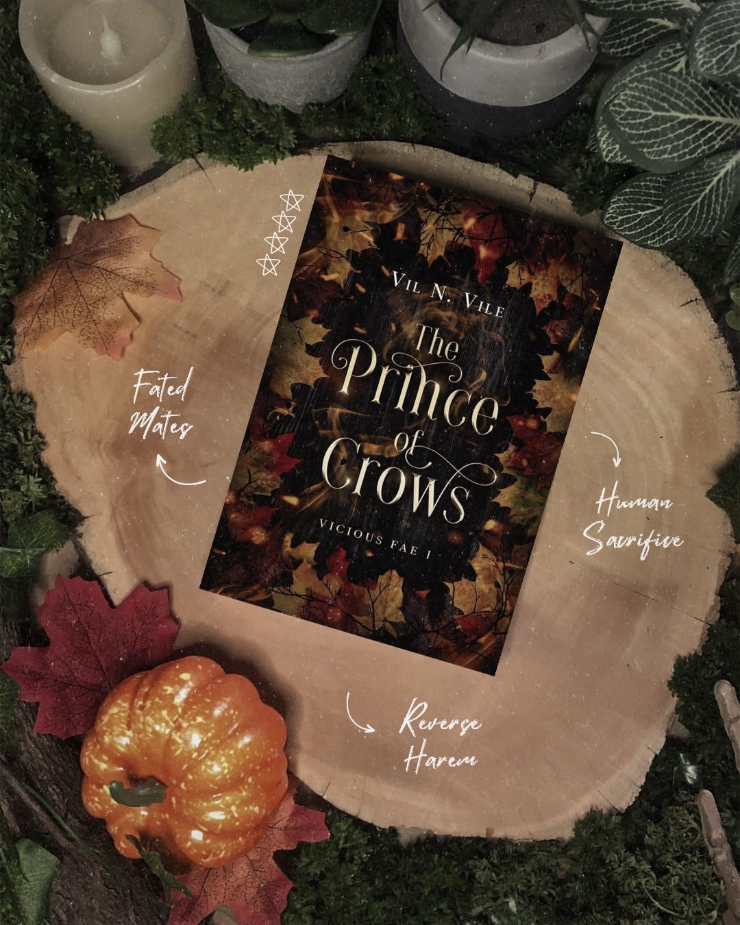 The Prince of Crows: A Why Choose Halloween Fae Fantasy Novella ...