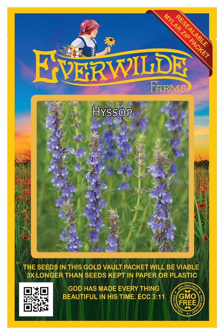 Amazon.com : Everwilde Farms - 2000 Hyssop Herb Seeds - Gold Vault ...