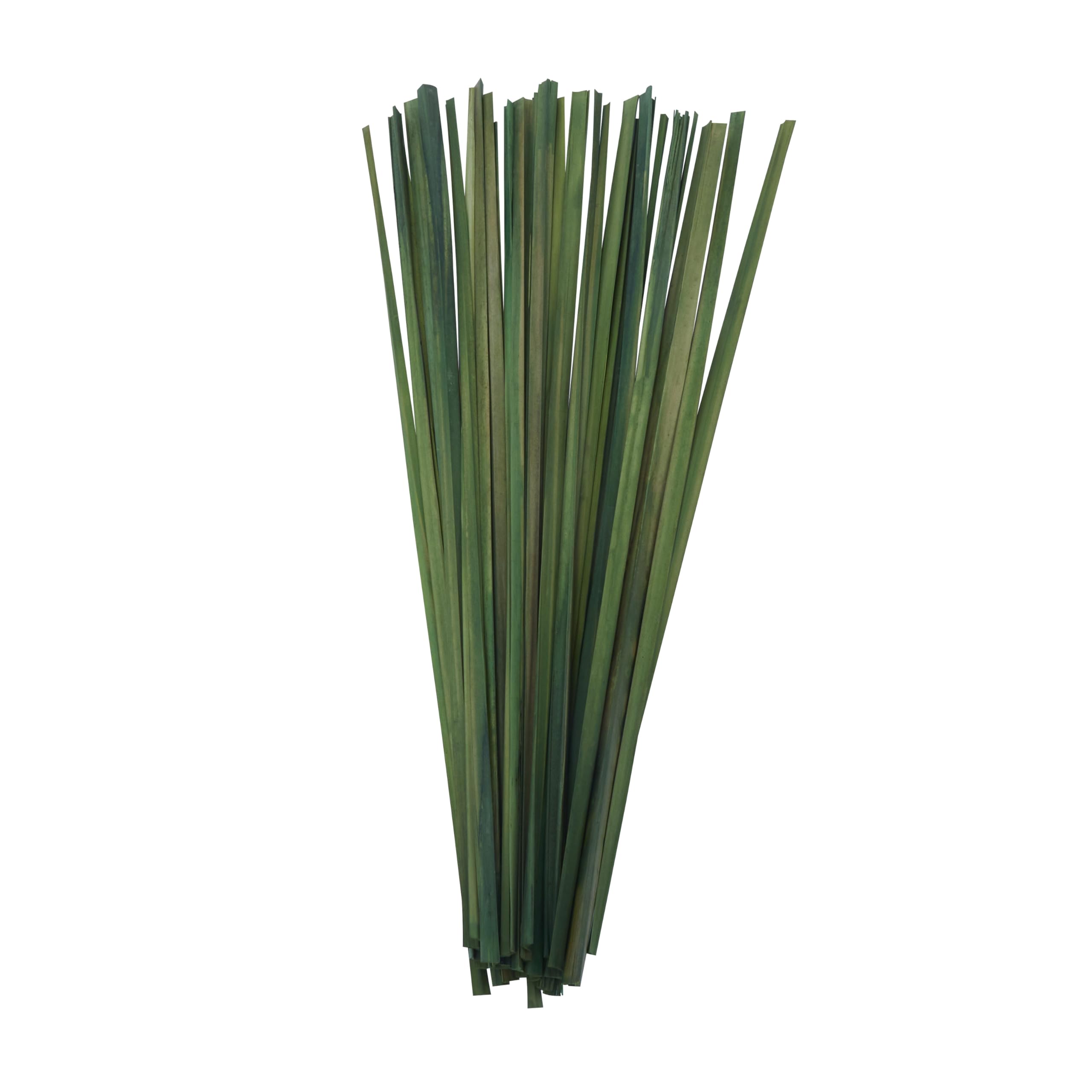 Deco 79 Dried Plant Sticks Natural Foliage, 1" x 1" x 39", Yellow