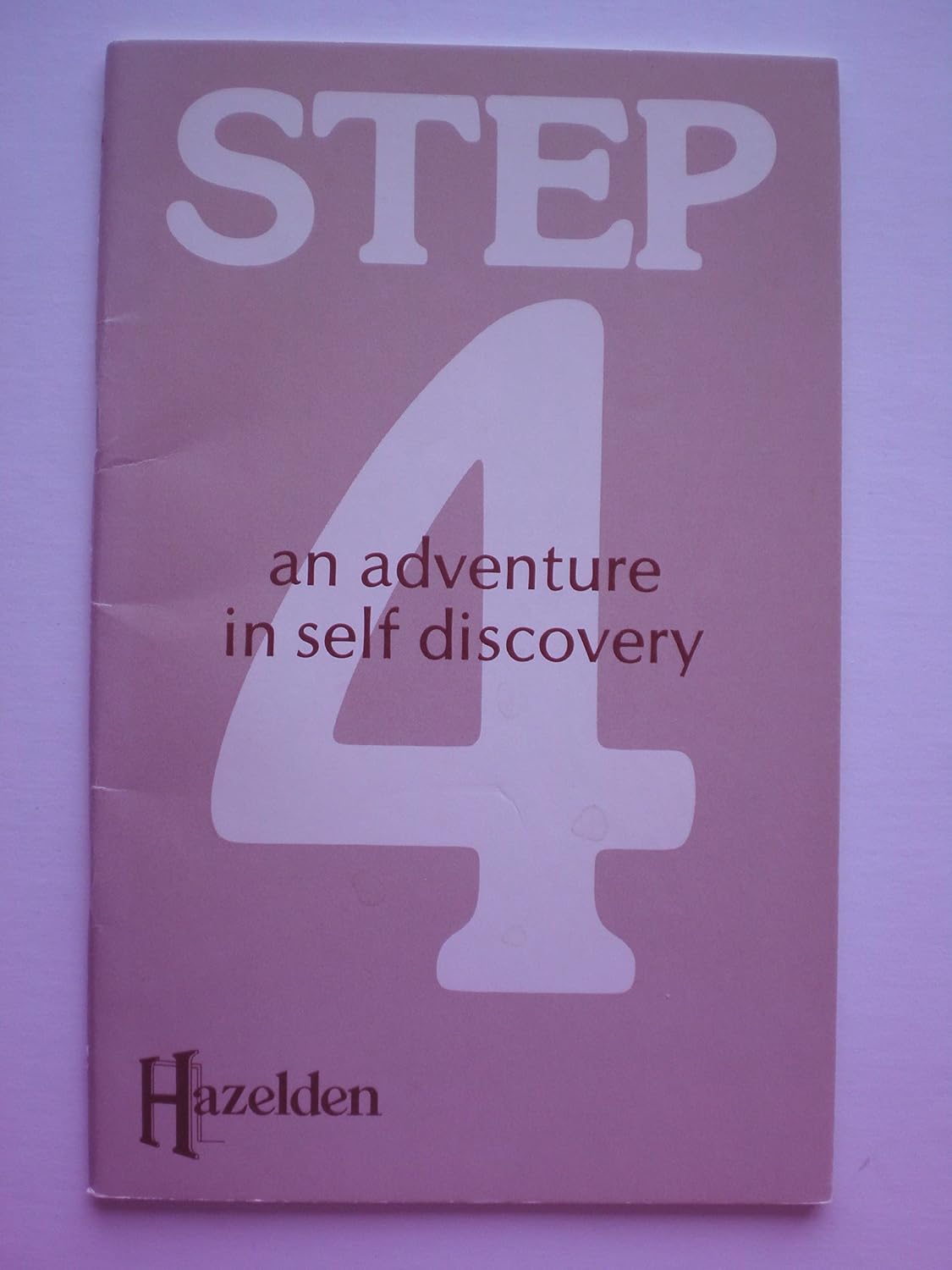 Step Four for Young Adults: An Adventure in Self-Discovery: Bjorklund ...