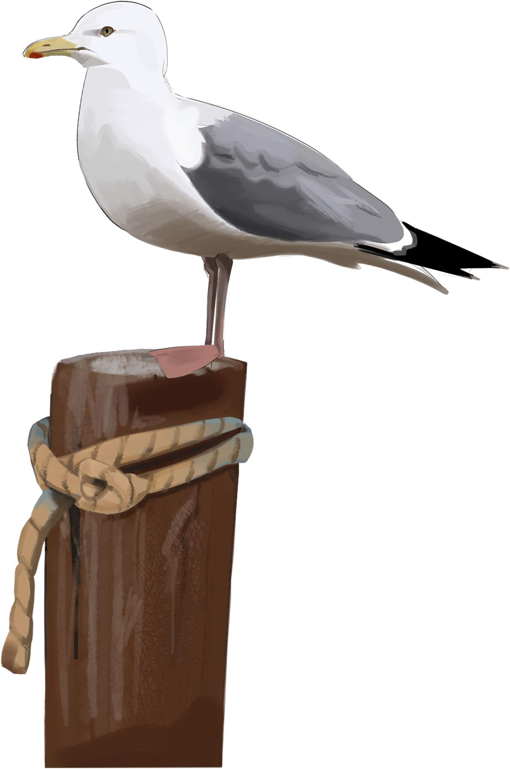 Amazon.com: WOYINIS 3D Removable Seagull Wall Decals Art Decor Beach ...