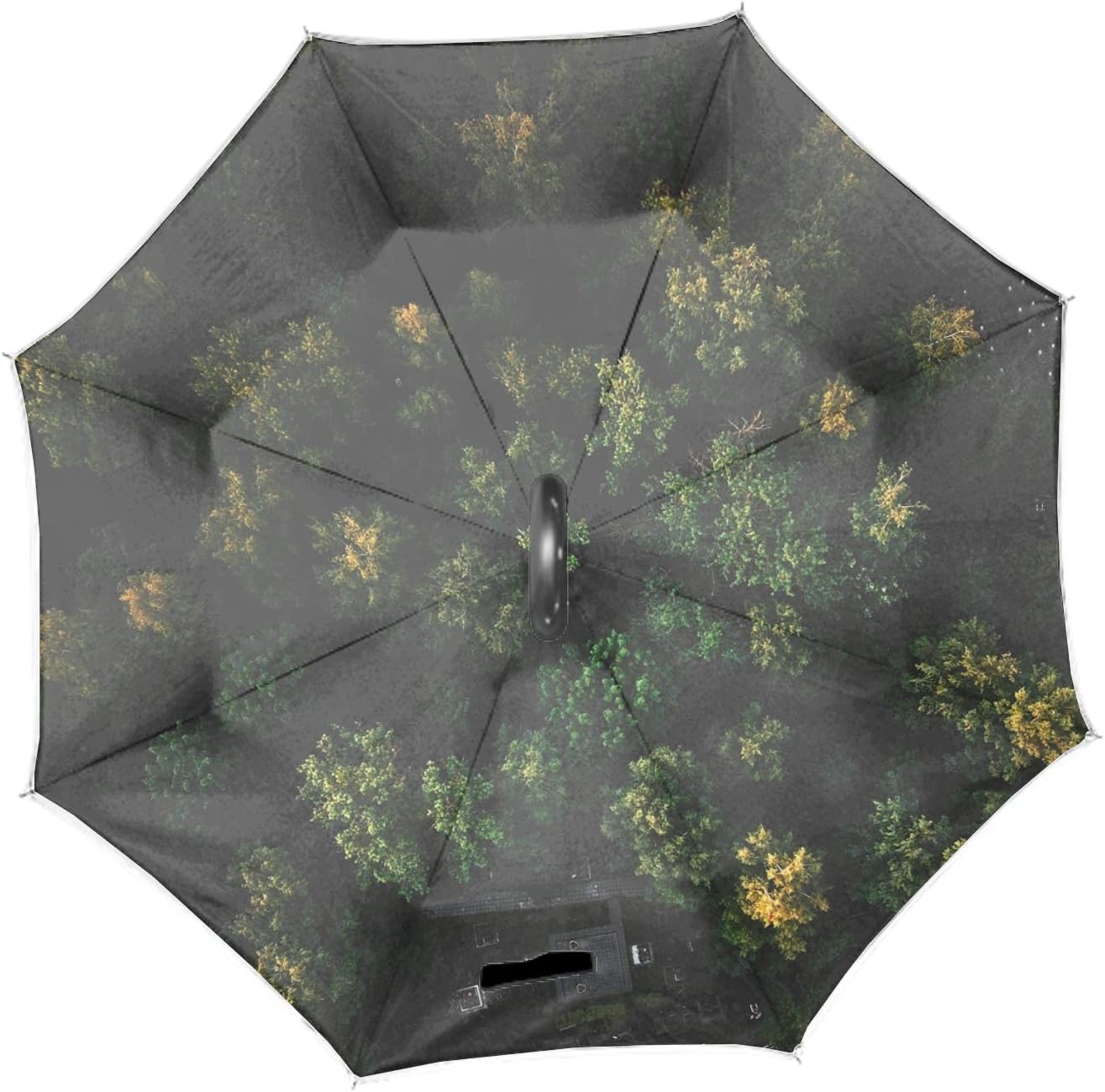 Amazon.com: Travel Umbrella Compact Automatic Open Close Folding Forest ...