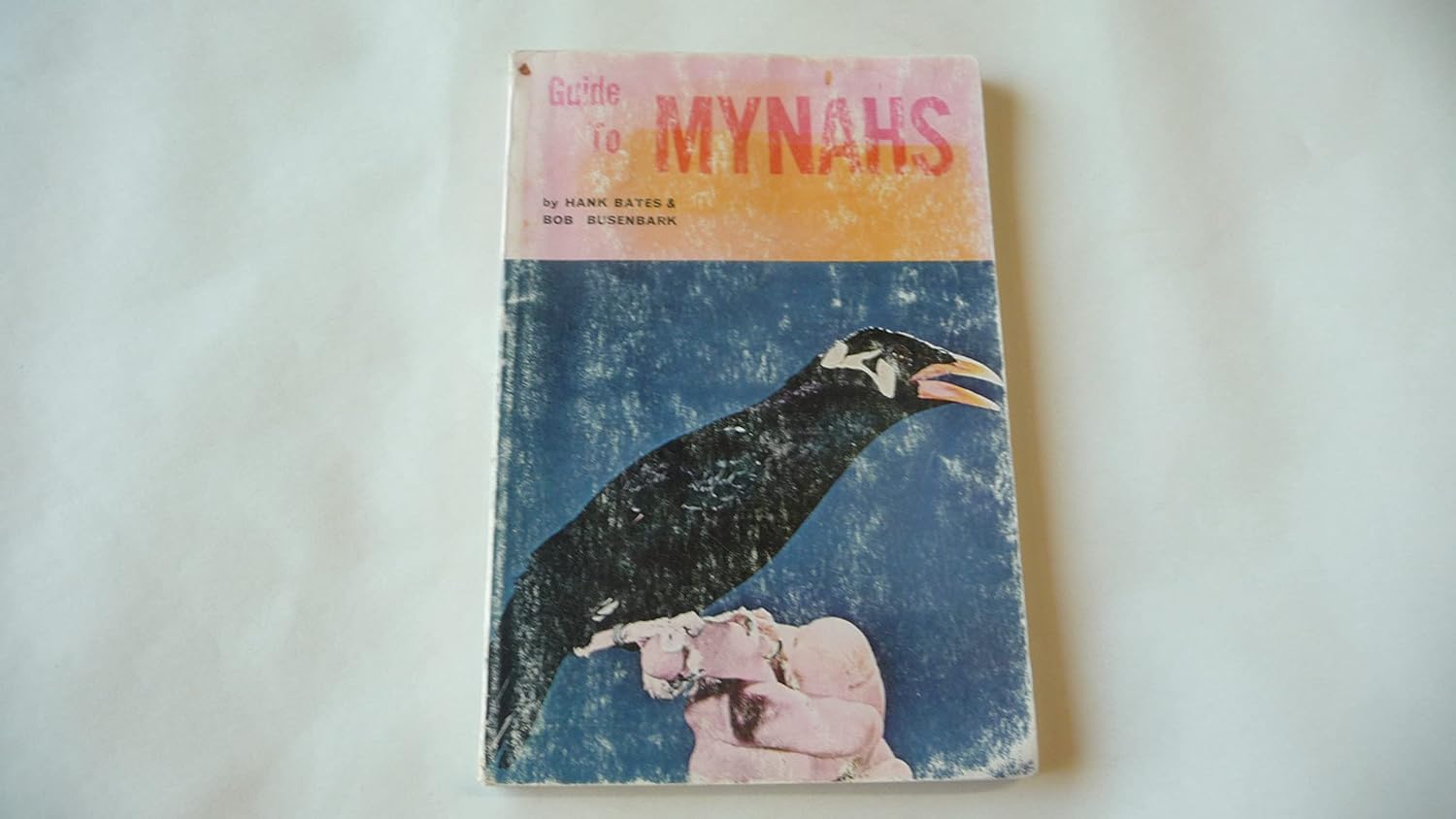 Guide to Mynahs: Bates, Henry, Busenbark, Robert: 9780876664254: Amazon ...