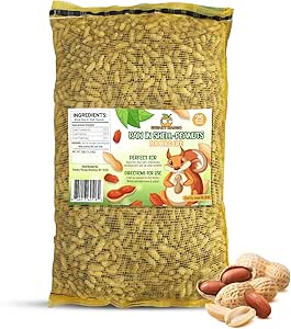 Amazon.com: Sneaky Mango Premium Quality- 25 Pound Raw Peanuts in Shell ...