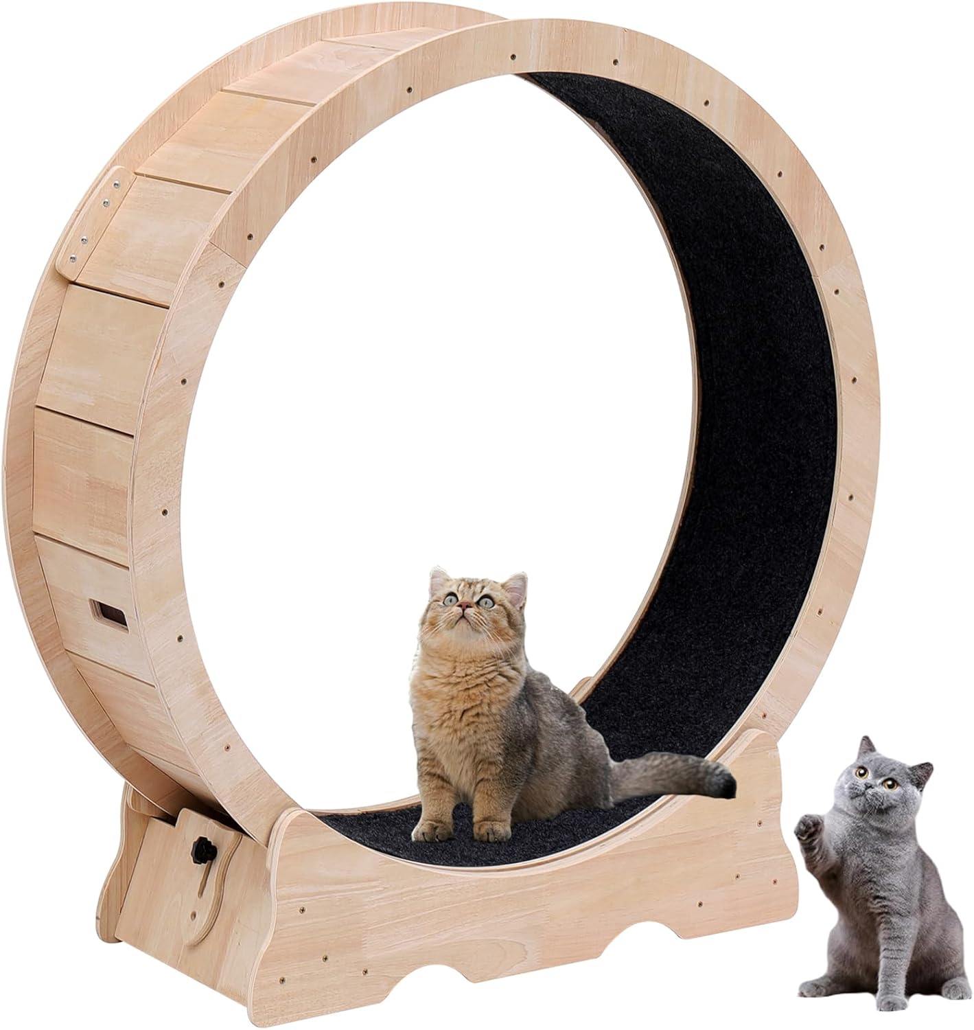 Amazon.com: Cat Exercise Wheel Cat Running Wheel Cat Sport Treadmill ...