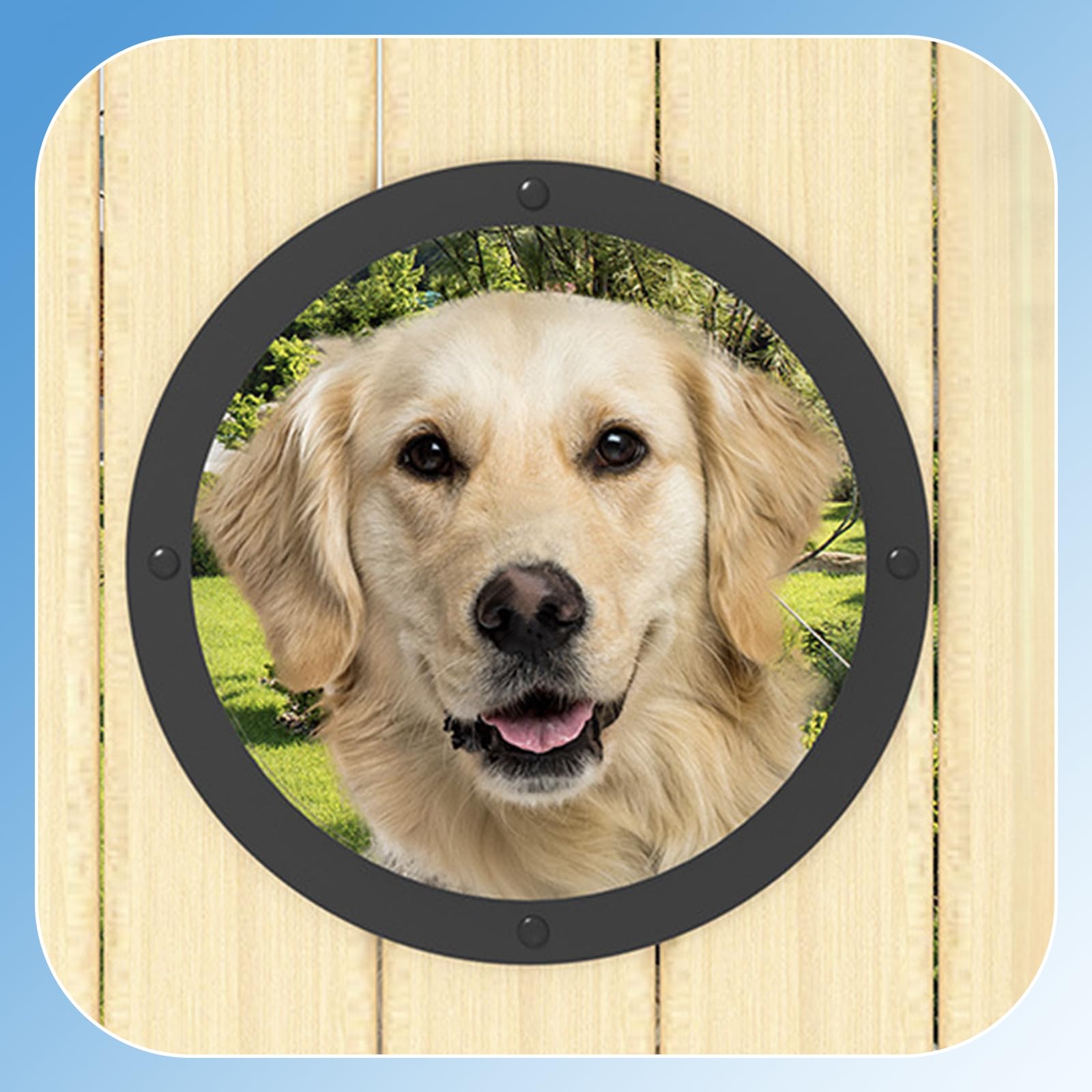 Dog Bubbles Acrylic Dome Dog Fence Window - Pet Peek Window With ...