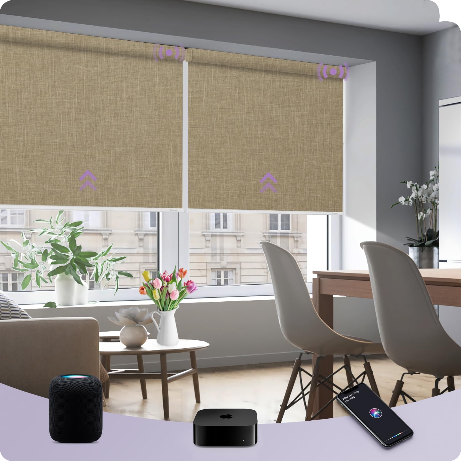 Amazon.com: Graywind HomeKit Smart Blackout Shades Eve Powered Siri ...
