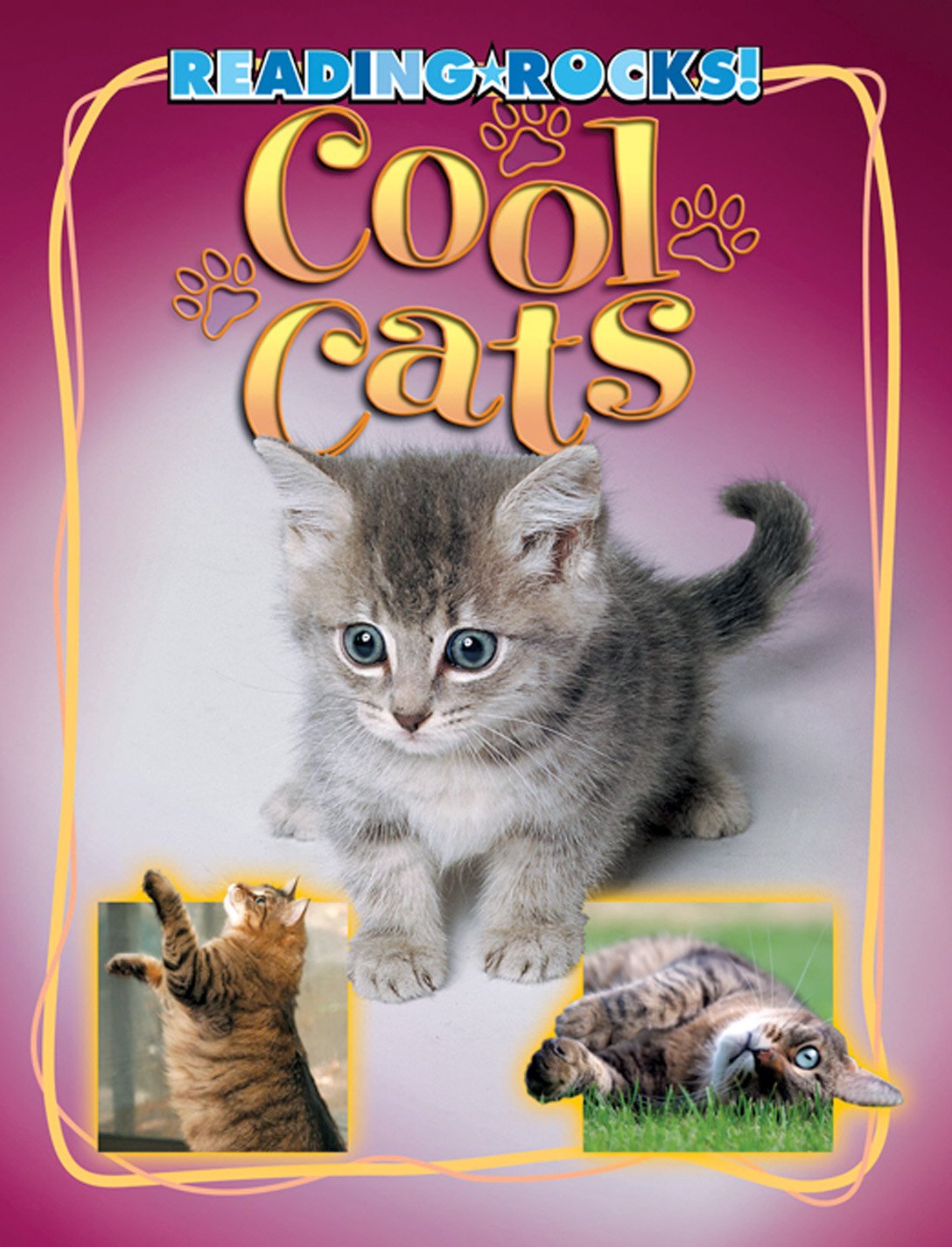 Cool Cats (Reading Rocks!) - Kindle edition by Adelman, Beth. Children ...
