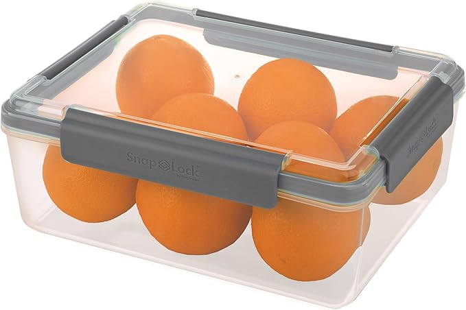Amazon.com: SnapLock by Progressive 20-Cup Container - Gray, Easy-To ...