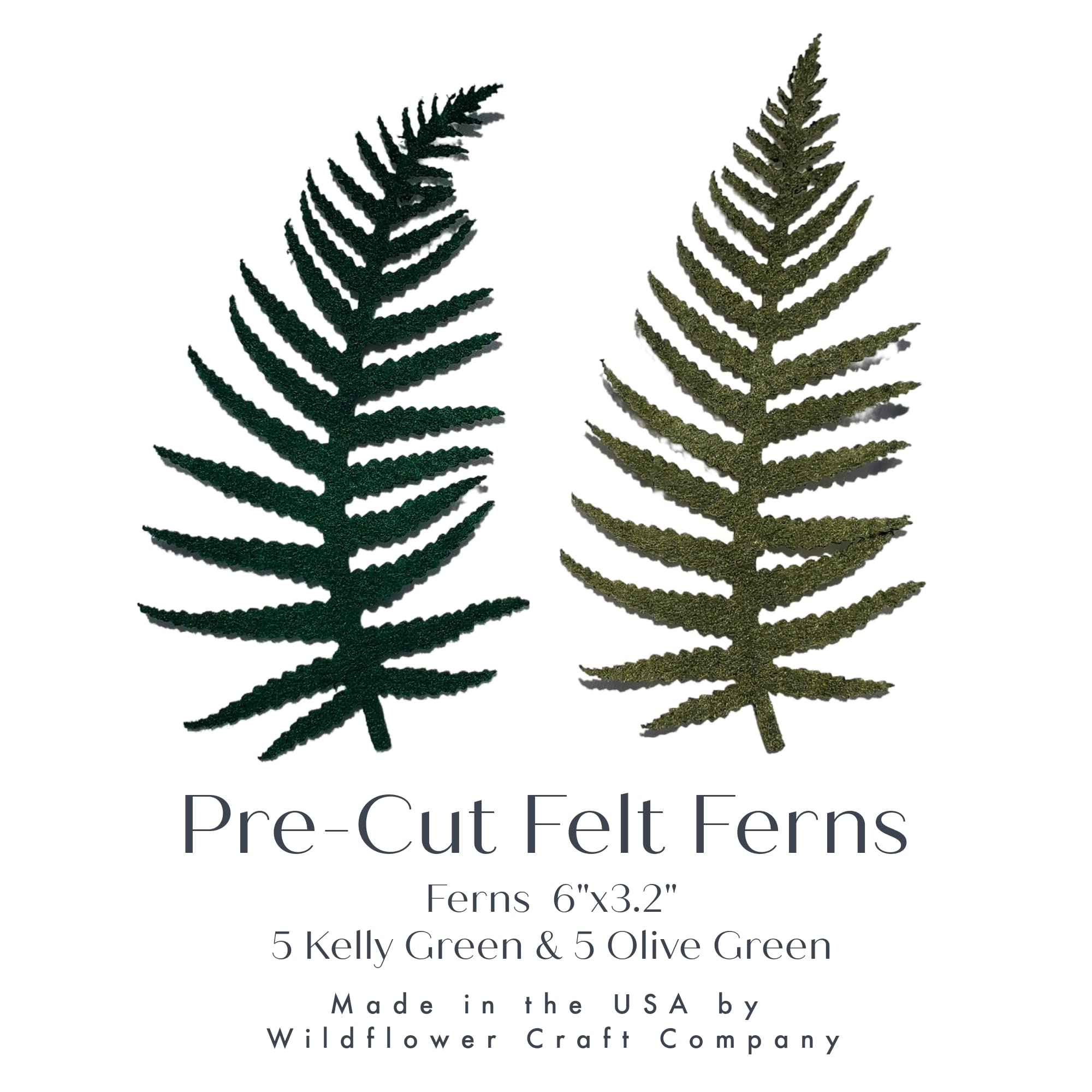 Hawaiian Fern Silhouette