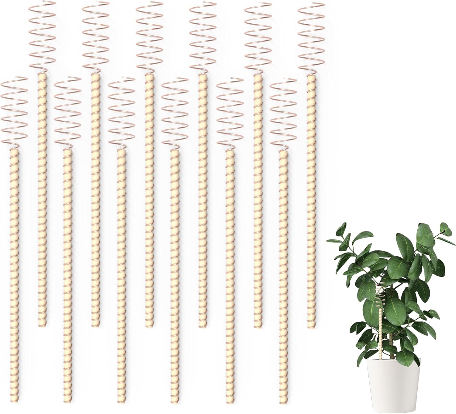 Amazon.com : Estleys 12 Pack Electroculture Plant Stakes, Long Copper ...