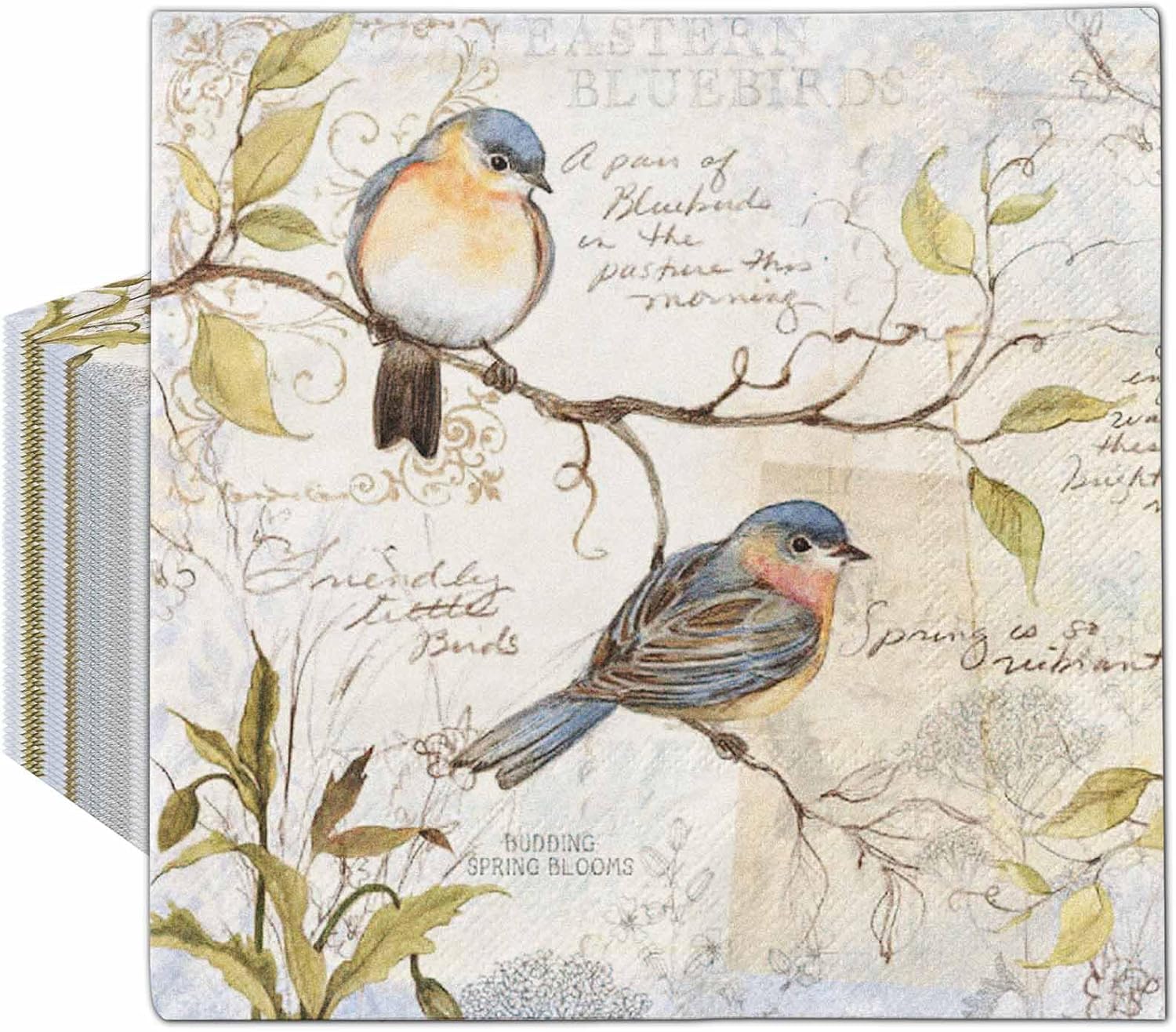 Amazon.com: AnyDesign 80 Pack Vintage Bird Luncheon Napkins Disposable ...