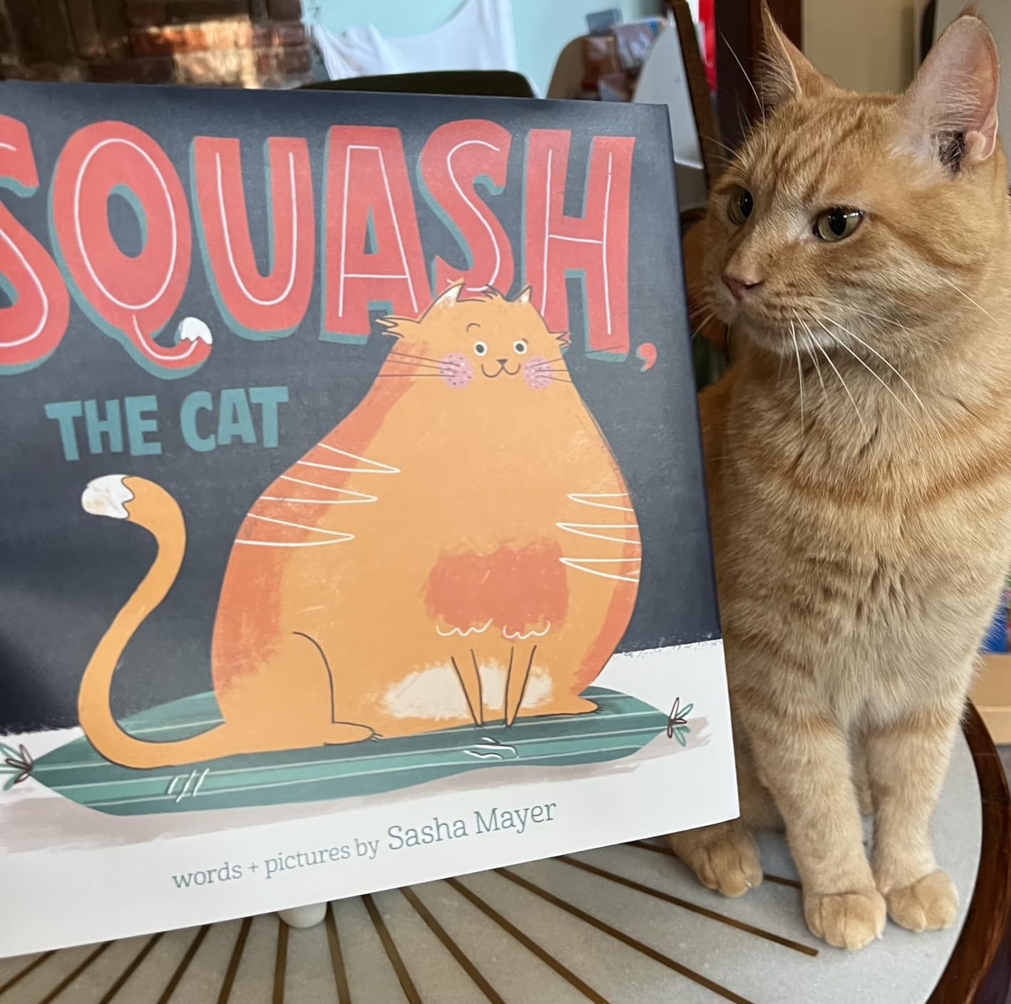 Amazon.com: Squash, the Cat: Stuck in the Middle: 9780593566565: Mayer ...