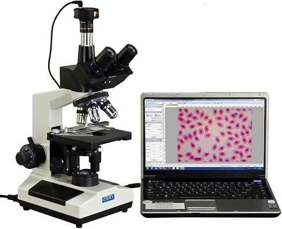 Amazon.com: OMAX 40X-2500X Phase Contrast Trinocular LED Compound ...