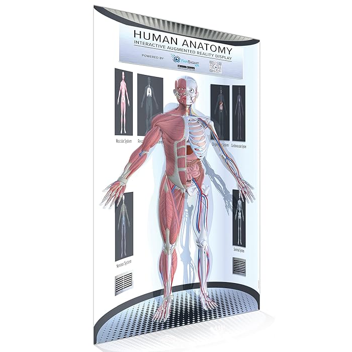 Buy FarSight XR | Human Anatomy Interactive Augmented Reality Display ...