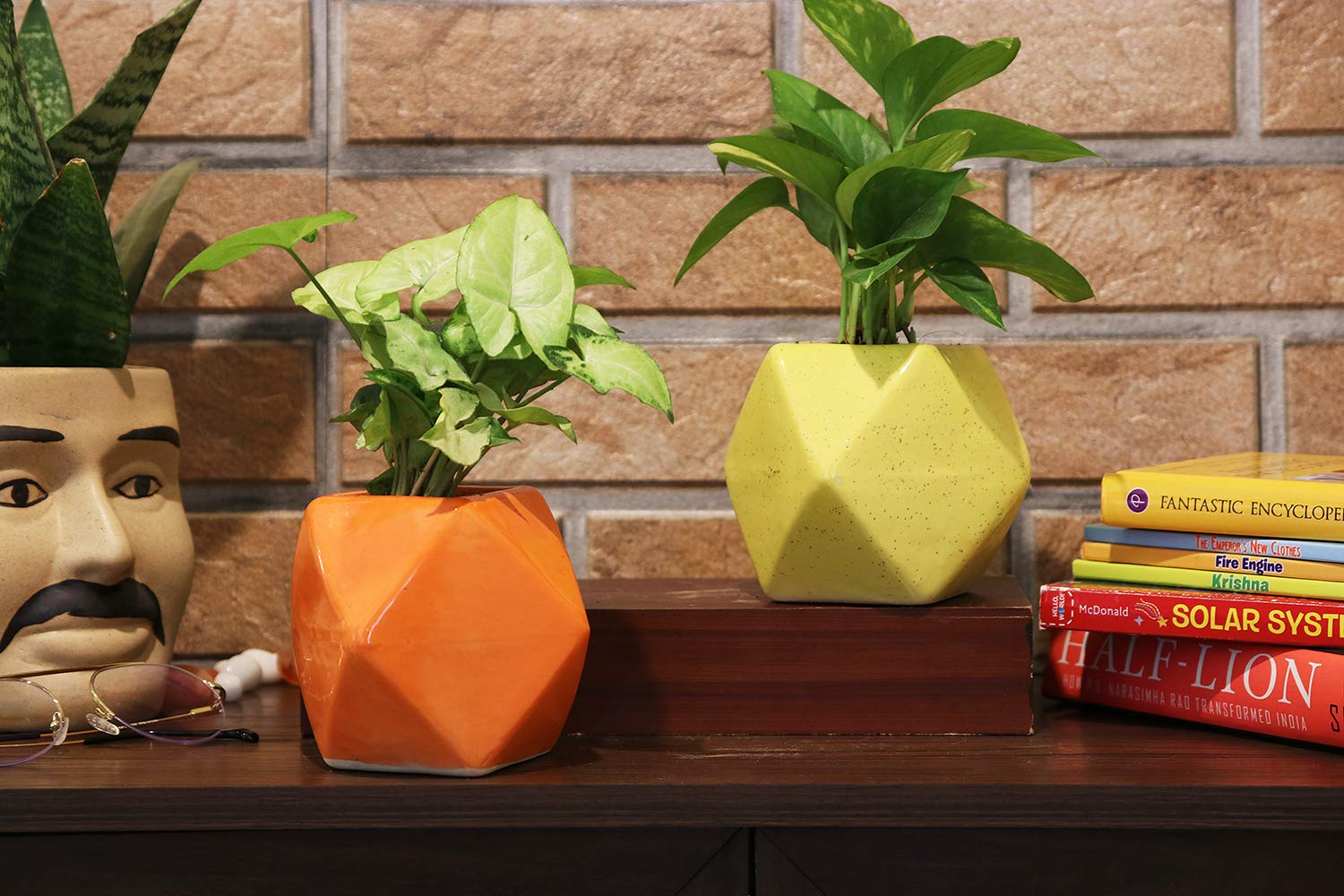 Buy Leafy Tales Set of 2 - Polygon Shape Ceramic Pot, Pot only ...