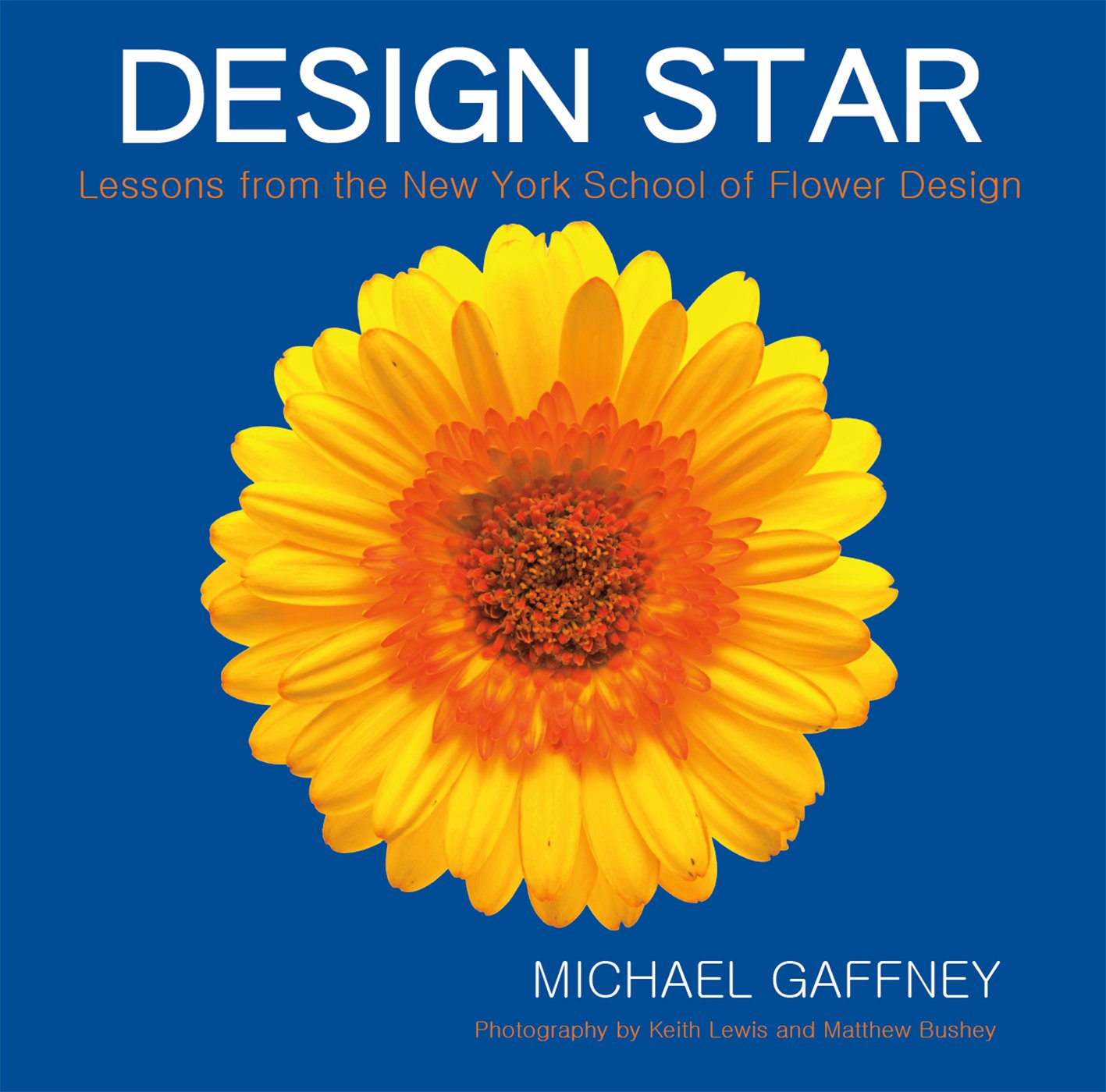 Design Star - Kindle edition by Gaffney, Michael, Lewis, Keith, Bushey ...