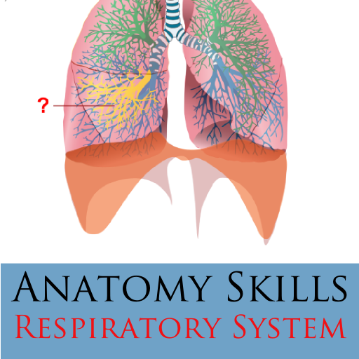 Anatomy Skills - The Respiratory System - App on Amazon Appstore