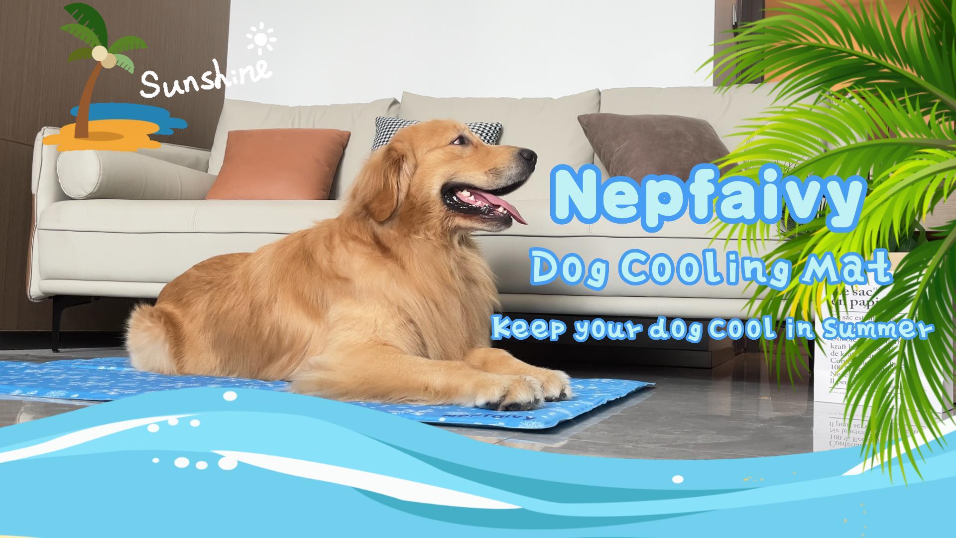 Nuvica TempBalance Mat, Pet Cooling Mat For Dogs, Large Self Cooling ...