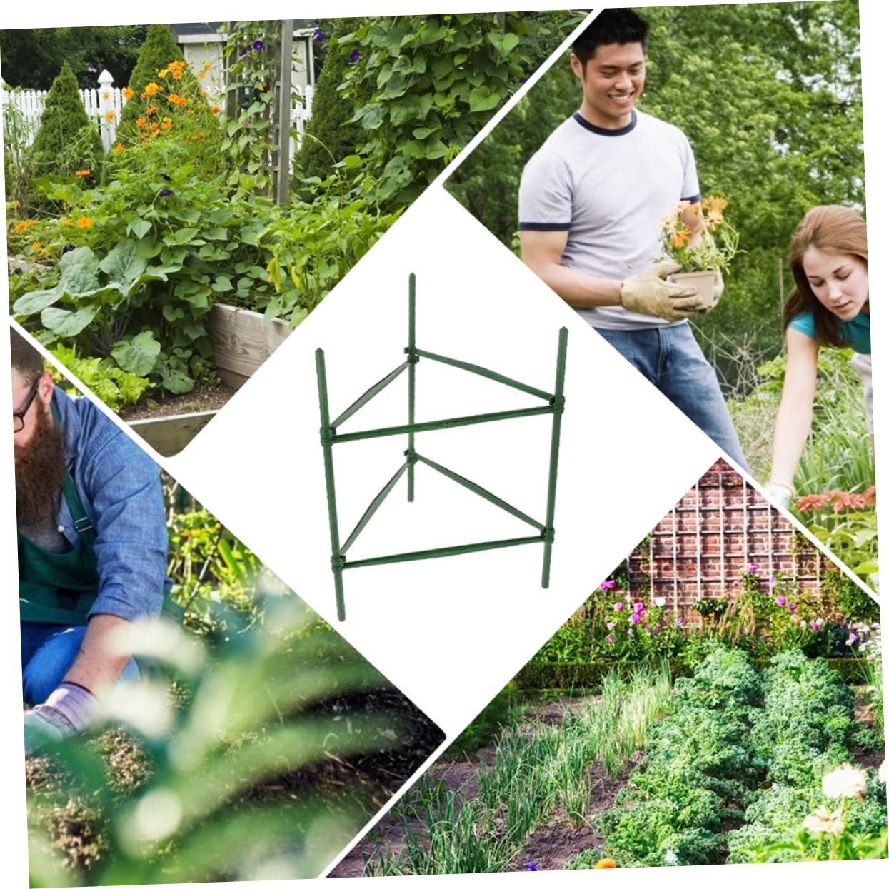 Yardenfun 2 Sets Planting Vine Climbing Frame Grid Plate Steel Rose ...