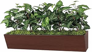 Amazon.co.jp: Fake Green GR4326 Tabletop Pot, Trapezoid Box, W900 ...