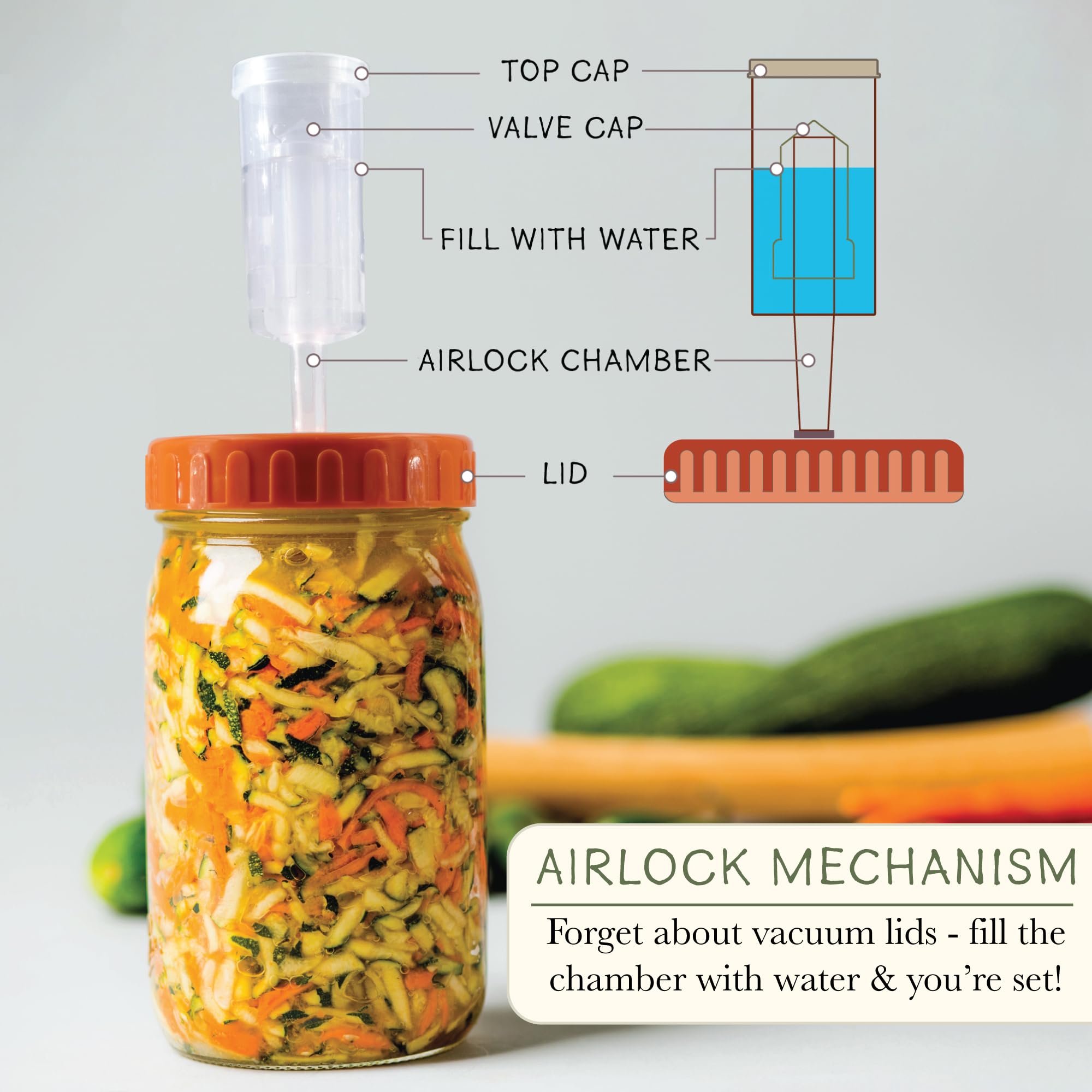 Snapklik.com : Fermentation Kit - Set Of 2 Glass Fermentation Weights ...