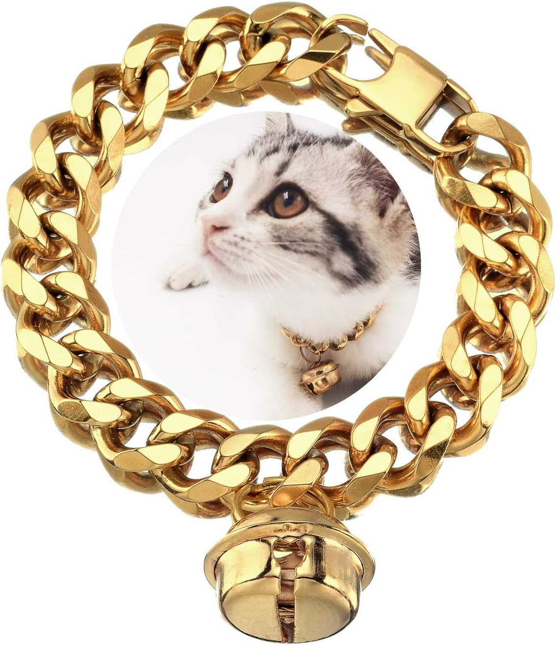 Amazon.com : 18K Gold Cat Dog Collar Kitten Puppy Gift Wide Stainless ...