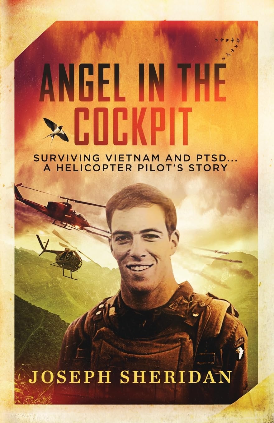 Amazon.com: Angel In The Cockpit: Surviving Vietnam And PTSD . . . A ...
