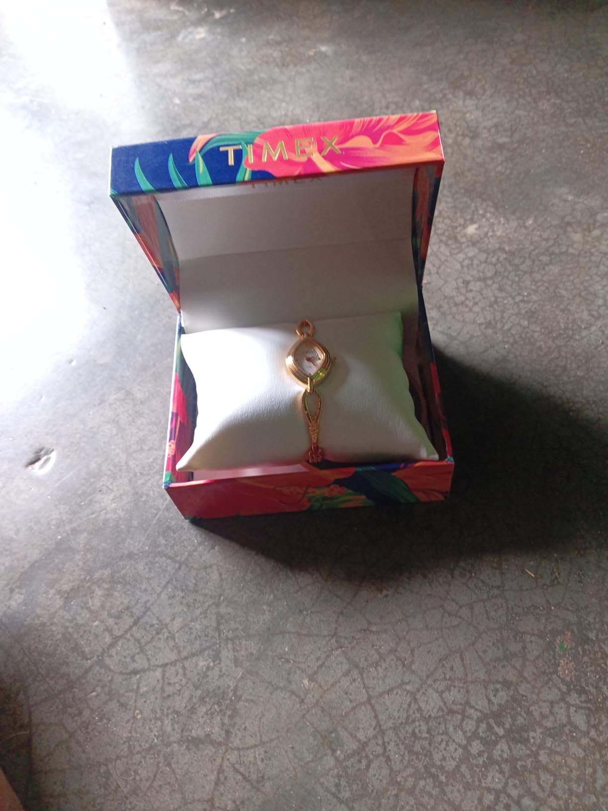 TIMEX Classics Analog Watch for Women with Silver Oval Dial & Gold ...