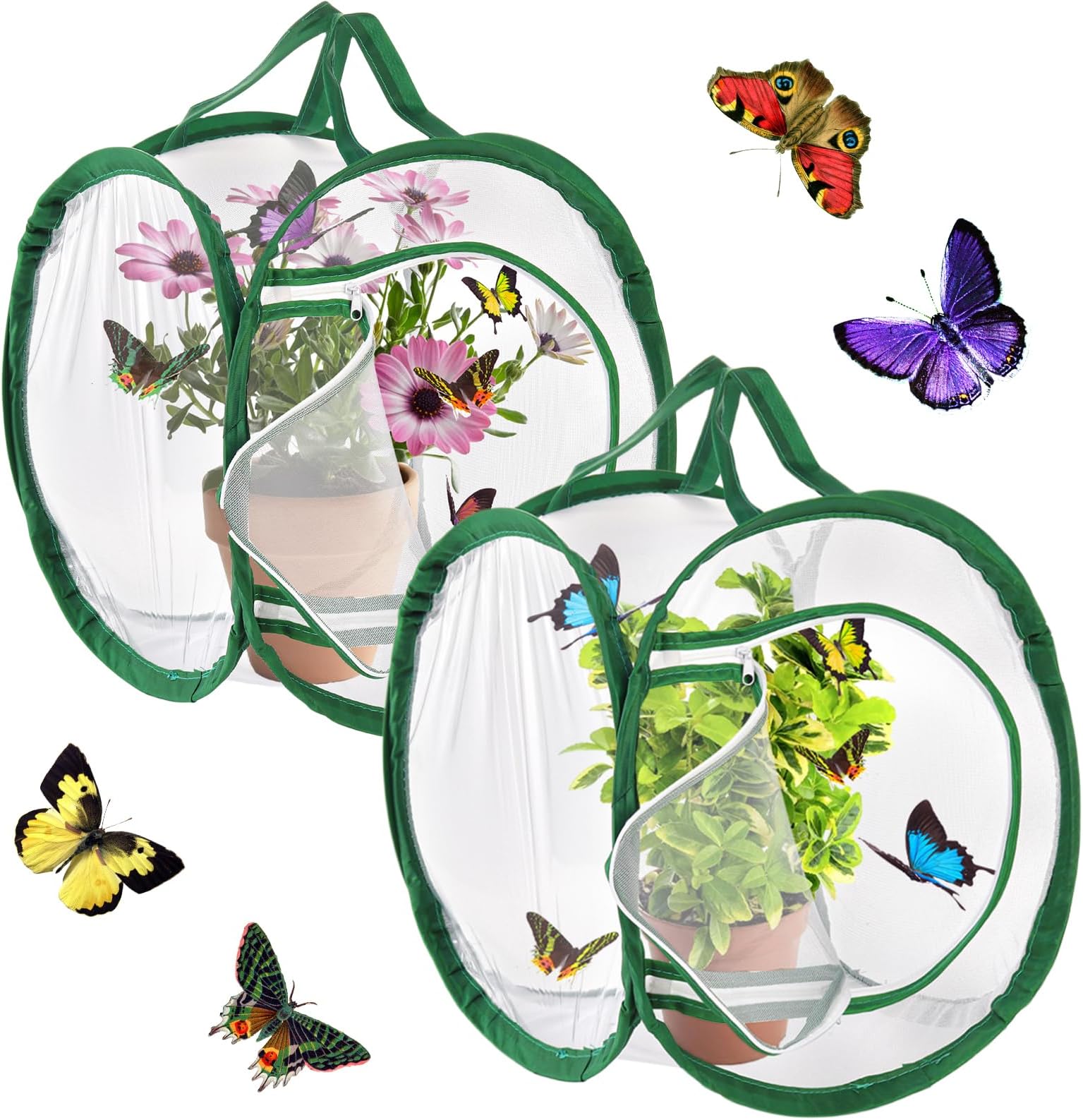 Amazon.com: ZENFUN 2 Packs Insect and Butterfly Habitat Cages, Monarch ...