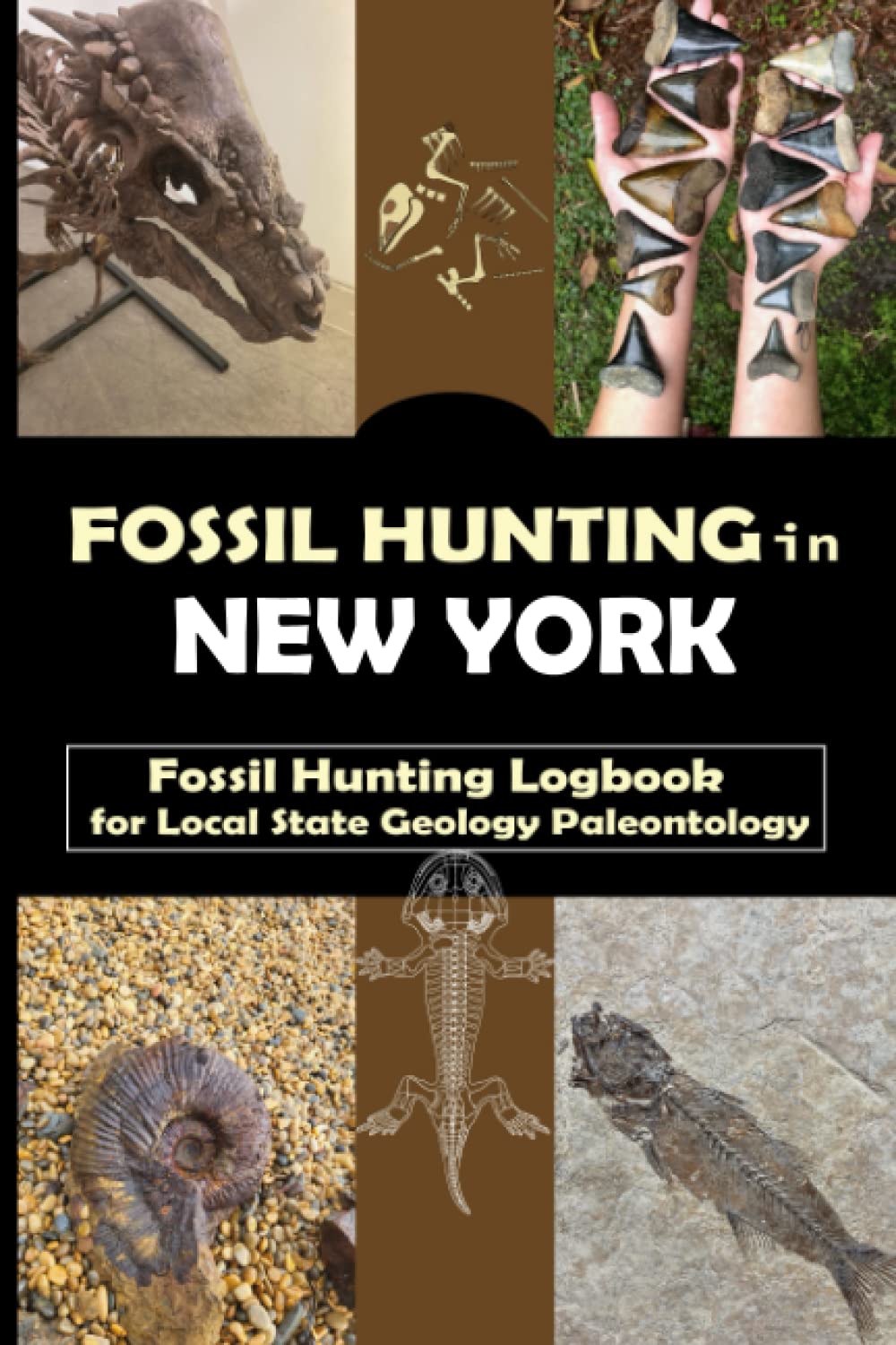Fossil Hunting in New York: Fossil Gathering Log Book for Local State ...