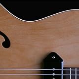 【発売日：2014年02月13日】・ブランド:E-Guitar・製造元:E-Guitar・製造元/メーカー部品番号:com.eguitar.ejazz・Including 8 sequences of increasing level: t...