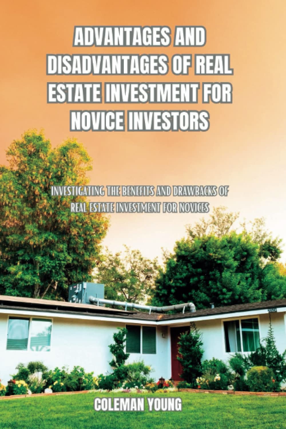 Advantages and Disadvantages Of Real Estate Investment For Novice ...