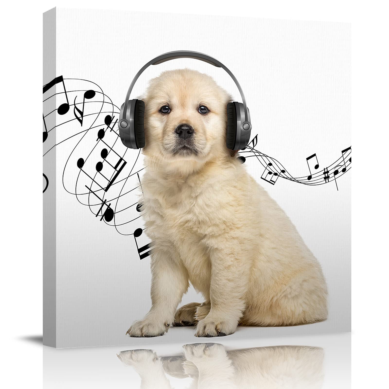 Animal Listening To Music
