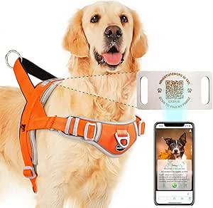 Amazon.com : ADVENTUREMORE Dog Harness for Large Dogs No Pull with QR ...
