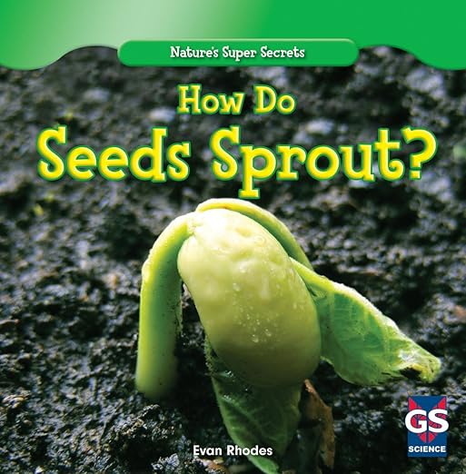 How Do Seeds Sprout? : Rhodes, Evan: Amazon.co.za: Books