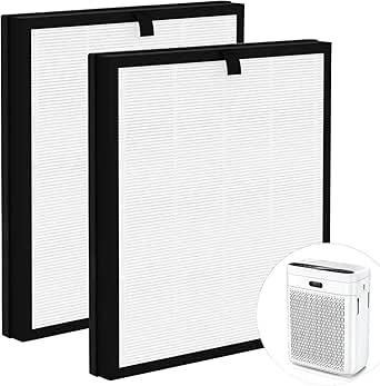 Amazon.com: F1 Replacement Filter Compatible with AMEIFU F1 Air ...