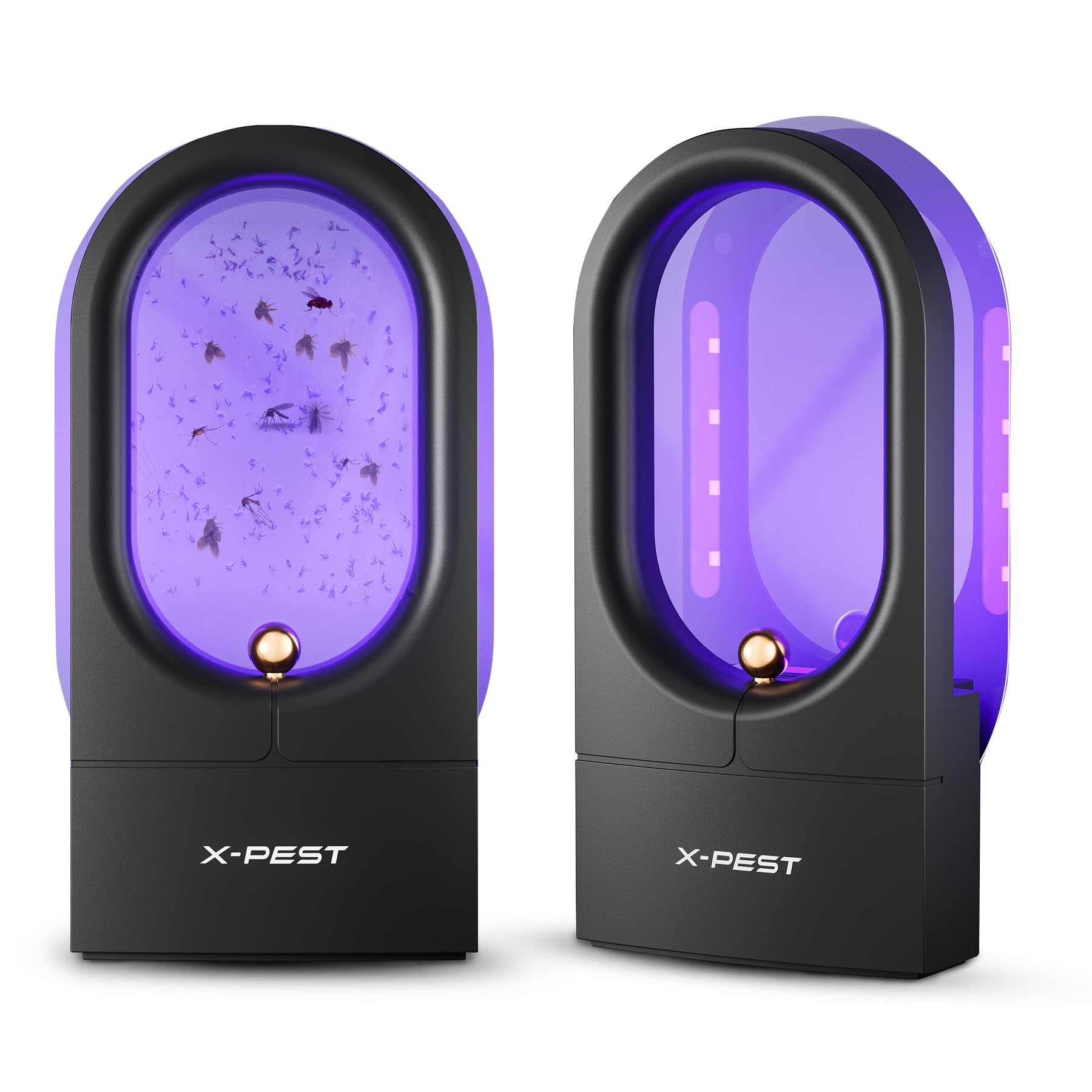 Amazon.com : X-PEST Flying Insect Trap 2 Packs, Fly Trap Captures ...