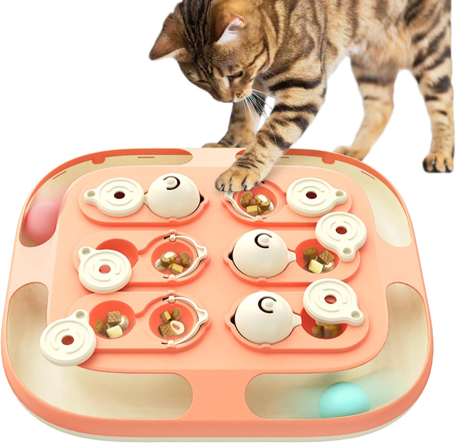 Amazon.com : Magic Cat Track and Ball Toy for Kittens Pets Kitties Cats ...