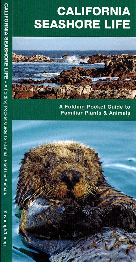 [California Seashore Life: A Folding Pocket Guide to Familiar Plants ...