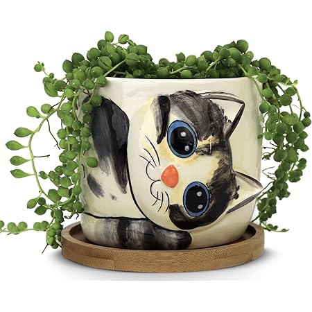Amazon.com : Mathew O Retro Ceramic Cat Shape Succulent Plant Pot ...