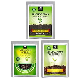 OrganicDews Trichoderma Viride Powder 1 Kg+Pseudomonas Fluorescens ...