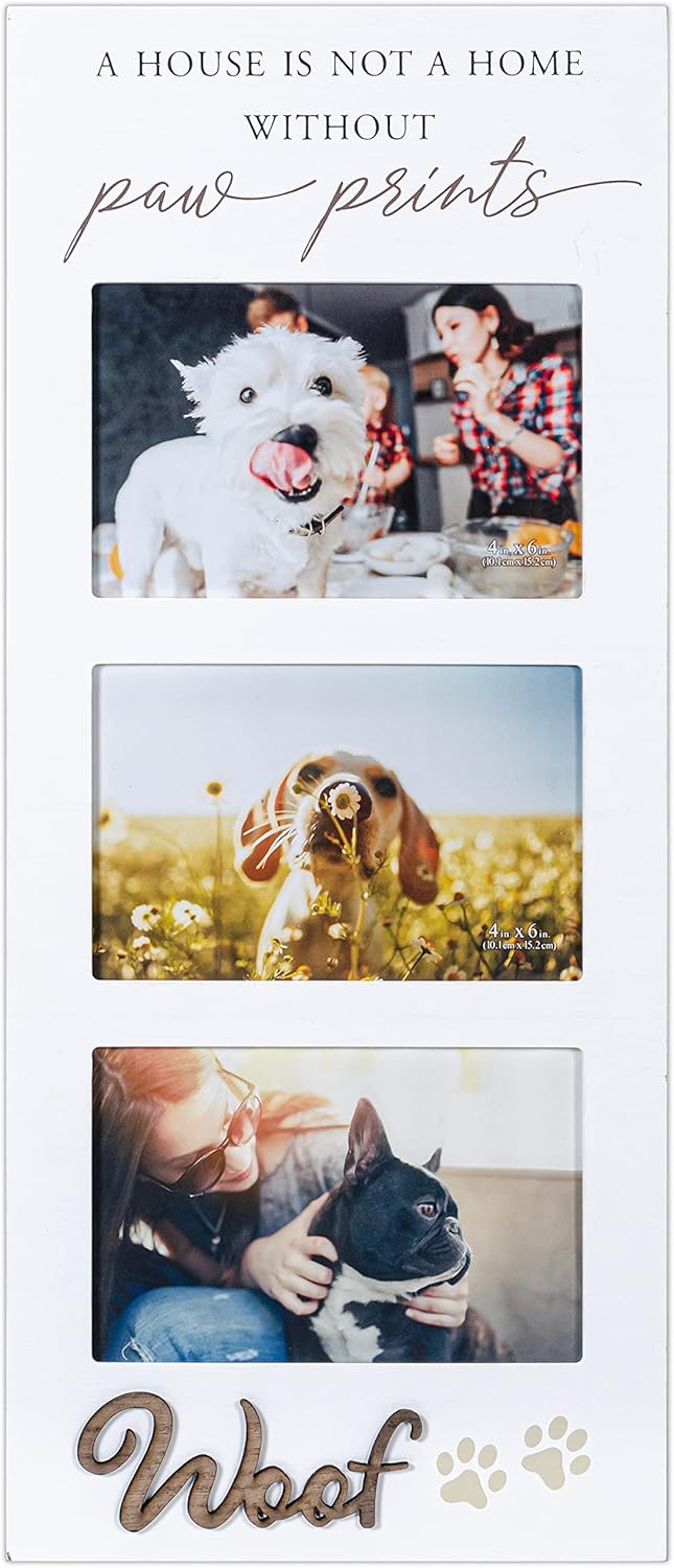 Amazon.com: Malden International Designs Three Opening 4x6 Woof Wall ...