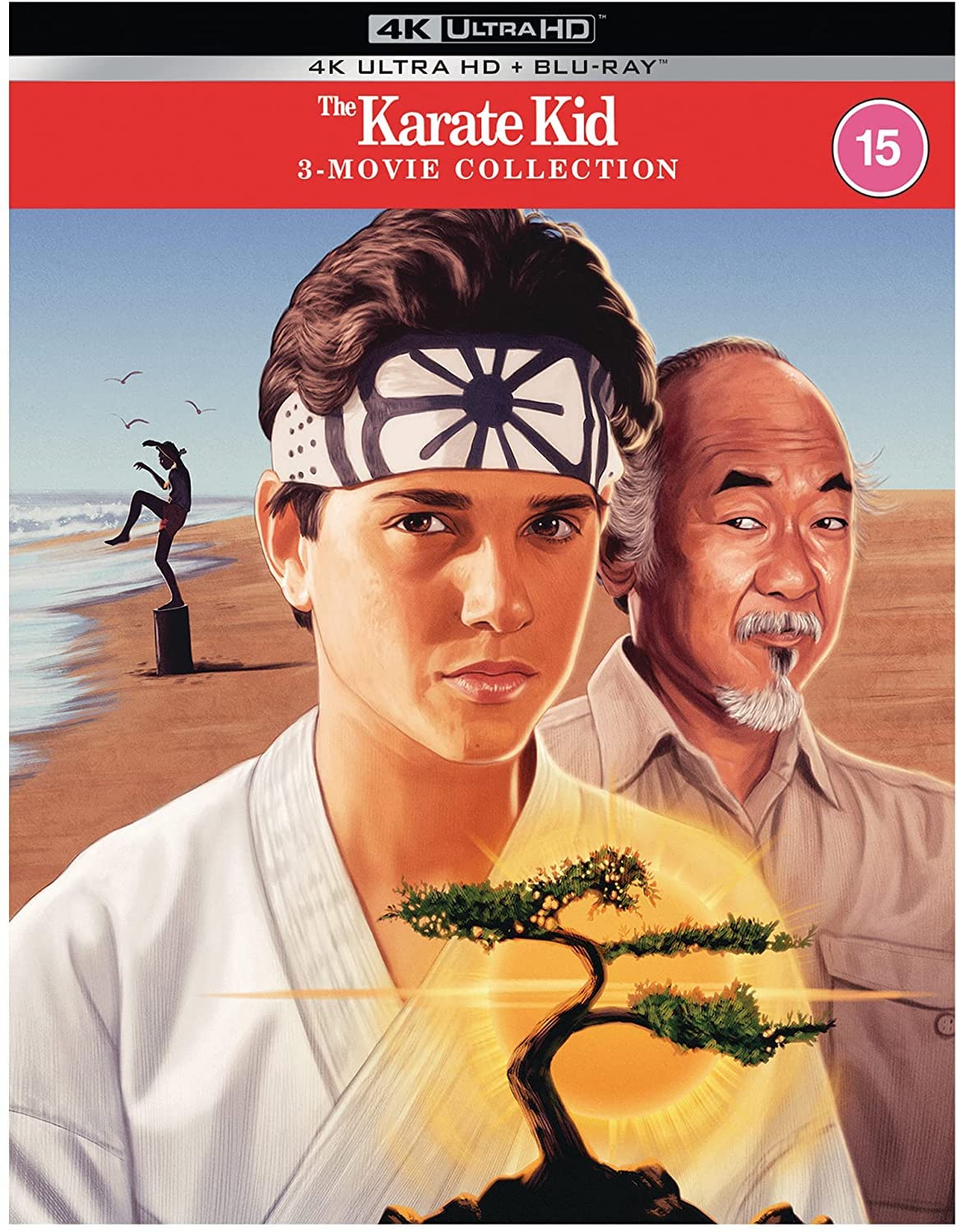 Amazon.com: The Karate Kid 1-2-3 Collection [4K UHD + Blu-ray] : Ralph ...