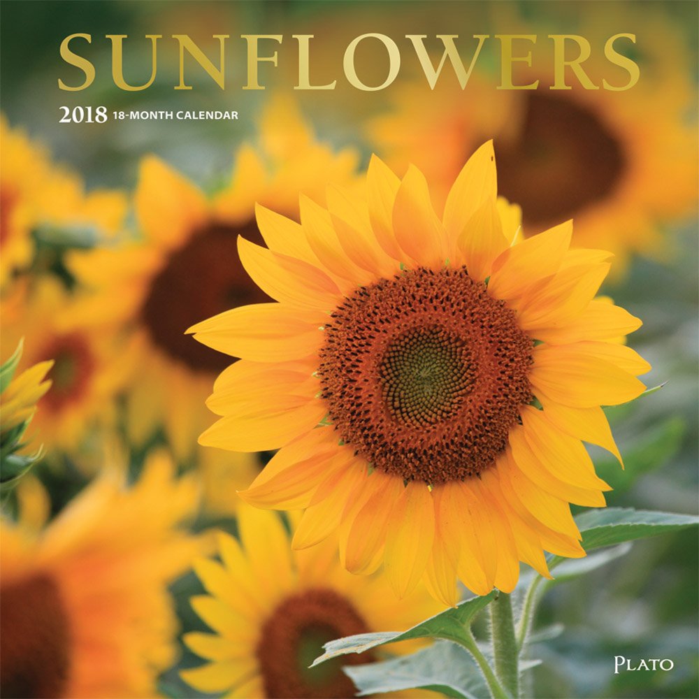 Sunflowers 2018 12 x 12 Inch Monthly Square Wall Calendar with Foil ...