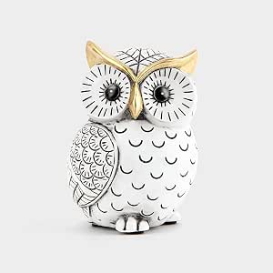 Amazon.com: Owl Statue for Home Decor Accents,Owl Decor for Bookshelf ...