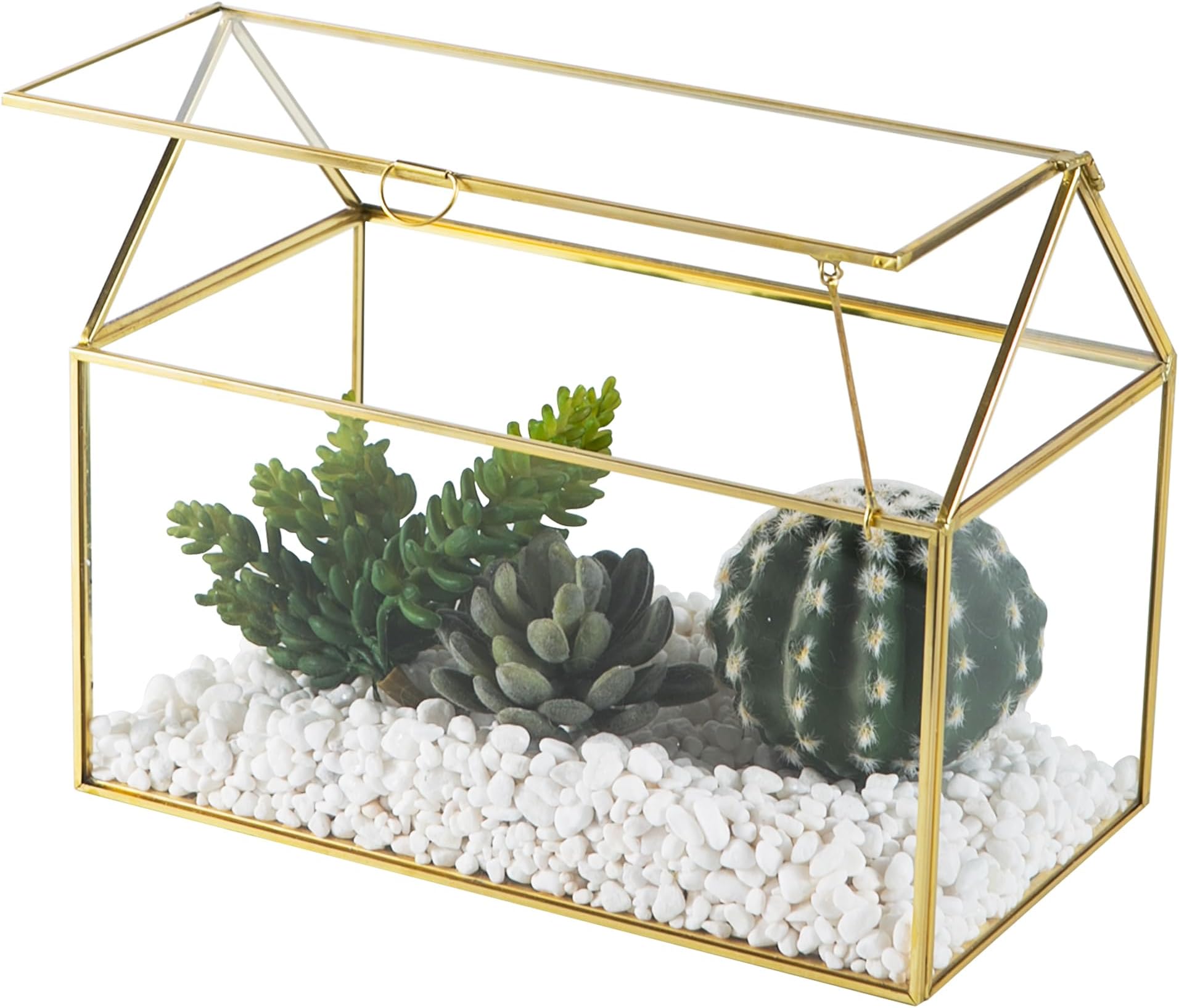 Amazon.com: Giadun Large Glass Plant Terrarium - Gold Clear House ...