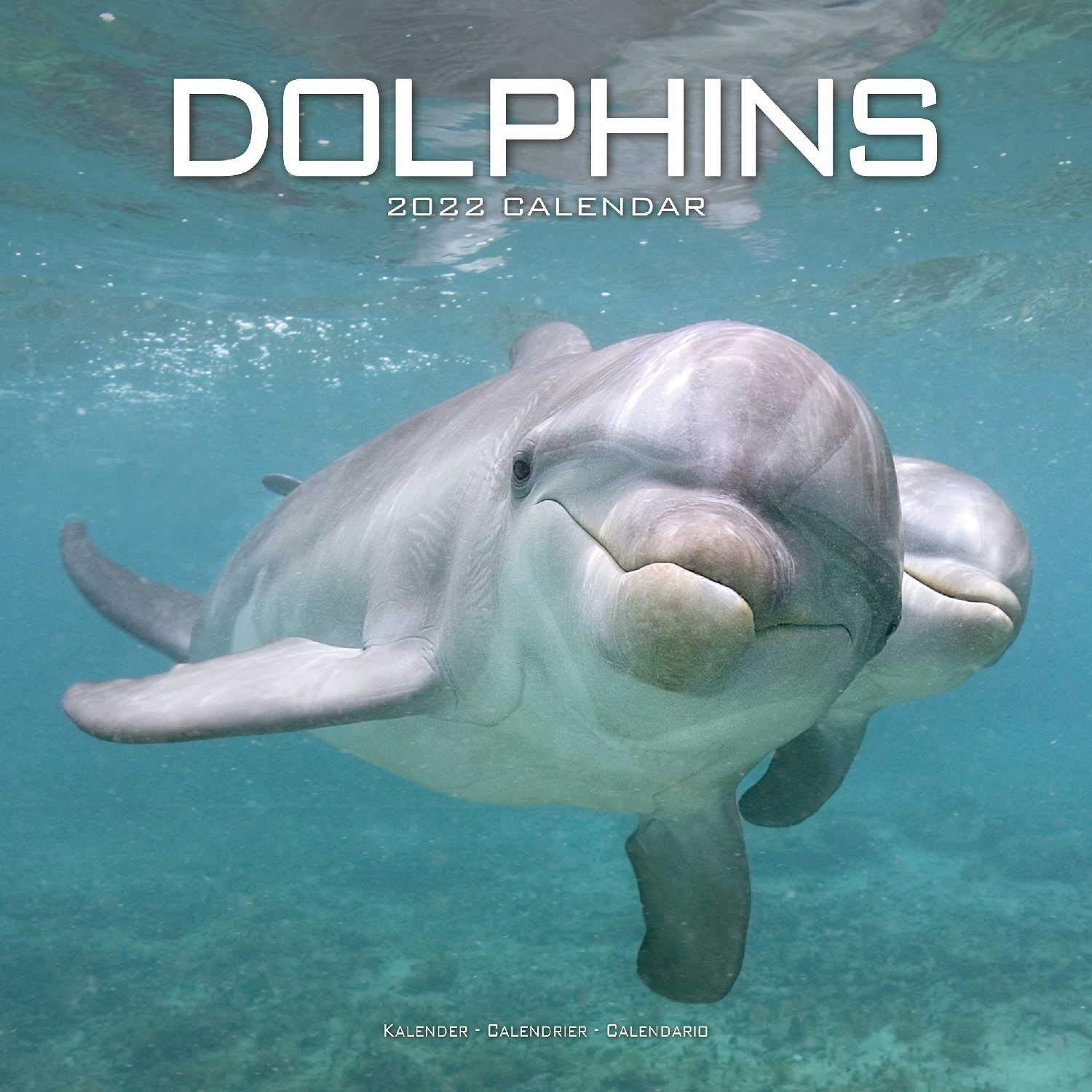 Dolphin Calendar - Ocean Calendar - Calendars 2021 - 2022 Wall ...