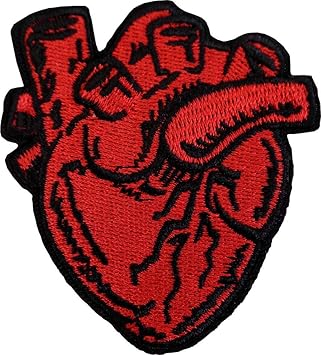 Amazon.com: Red Anatomical Heart - Embroidered Iron on Patch
