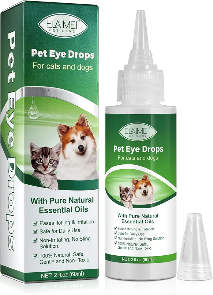 Understanding Cat Allergy Eye Symptoms And How To Manage Them | PetShun